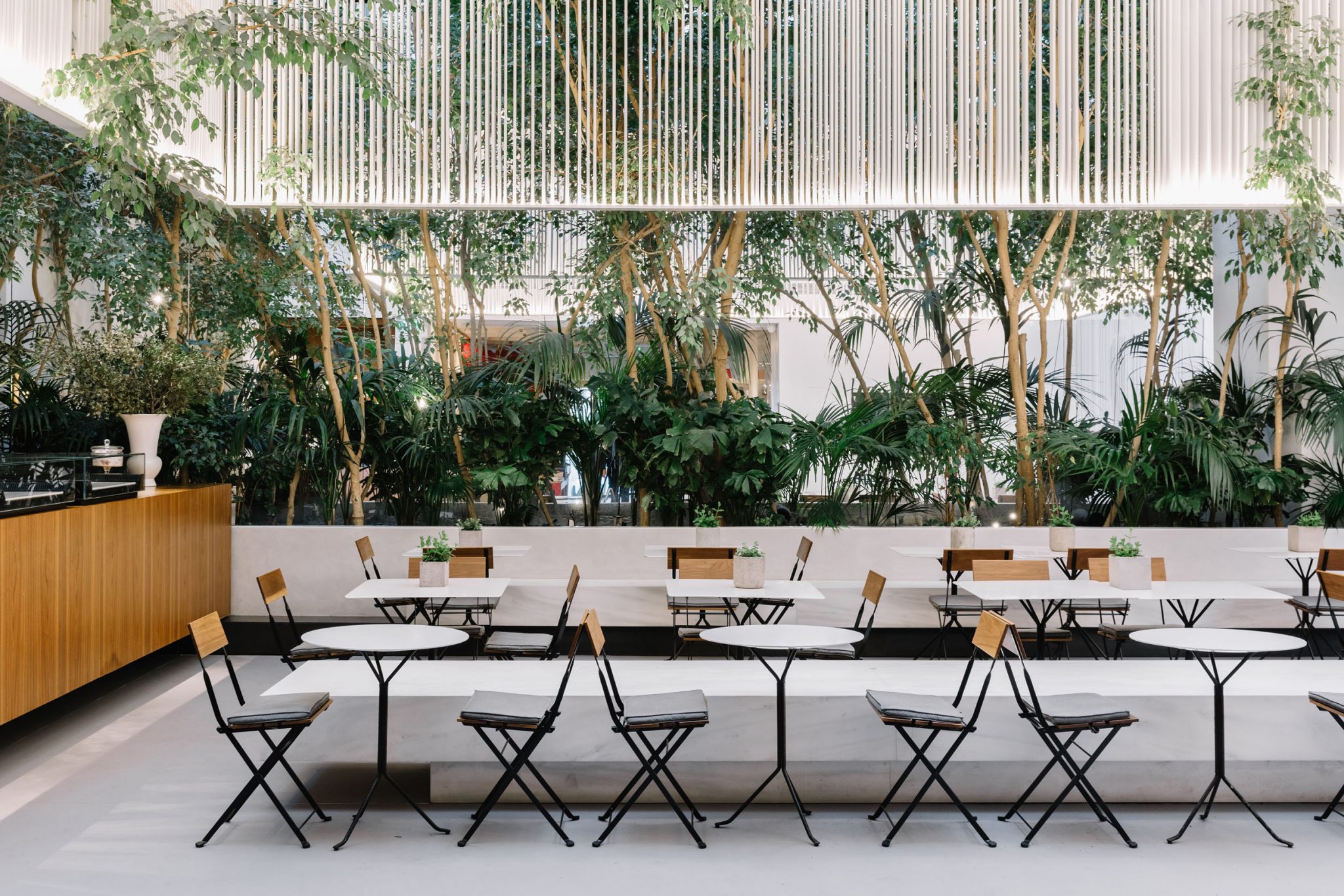 Cycladic Café - Museum of Cycladic Art