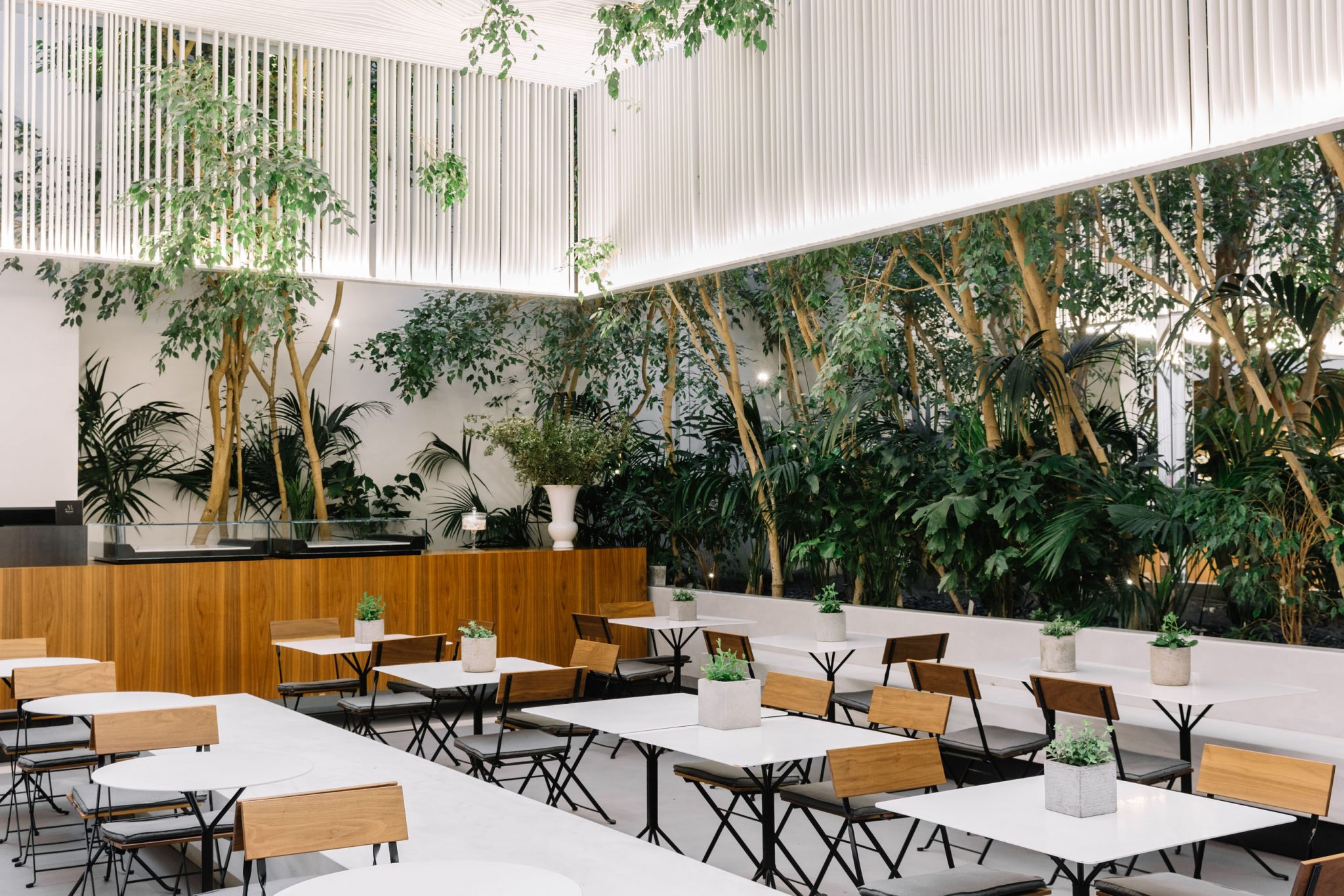 Cycladic Café - Μουσείο Κυκλαδικής Τέχνης