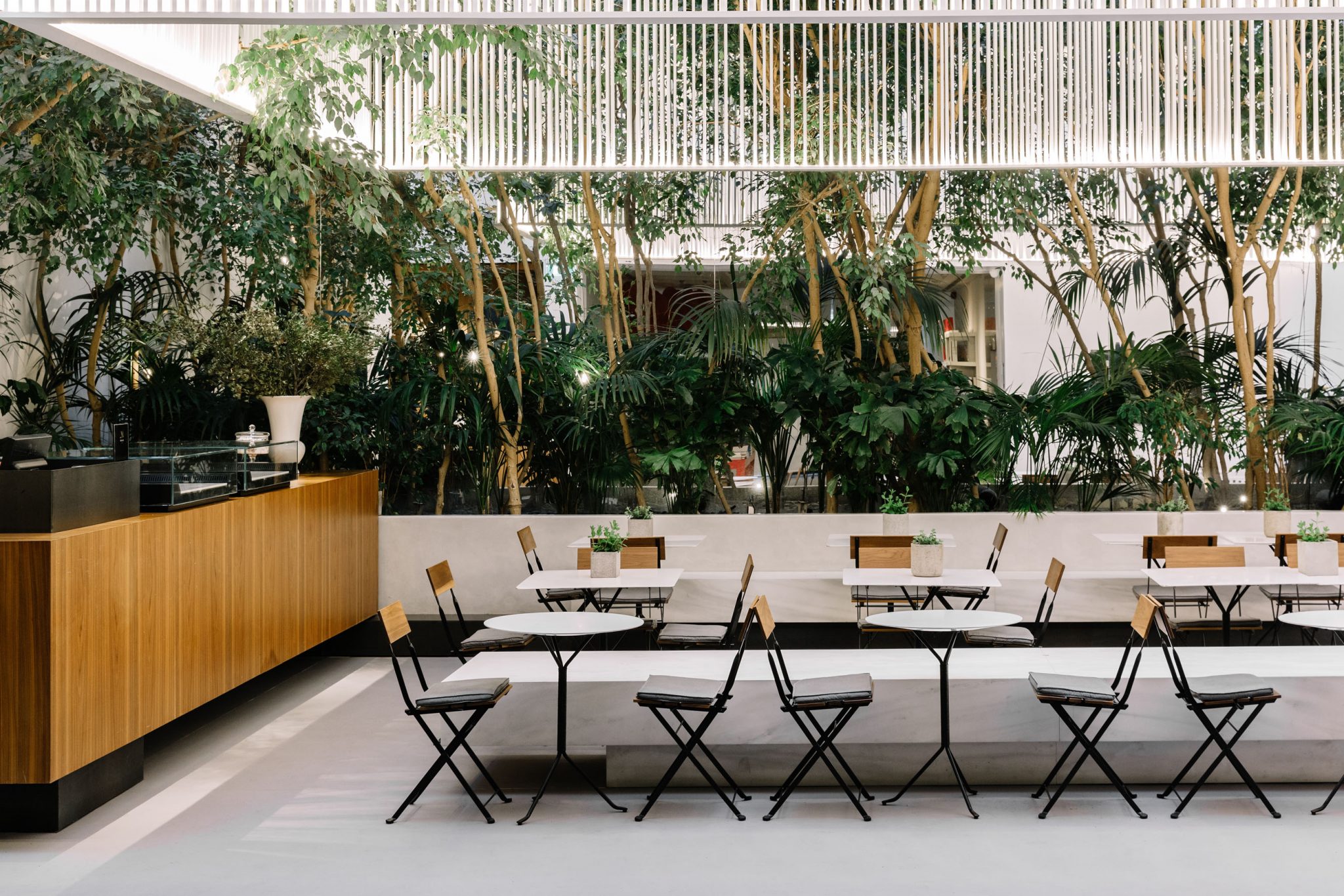 Cycladic Café - Museum of Cycladic Art