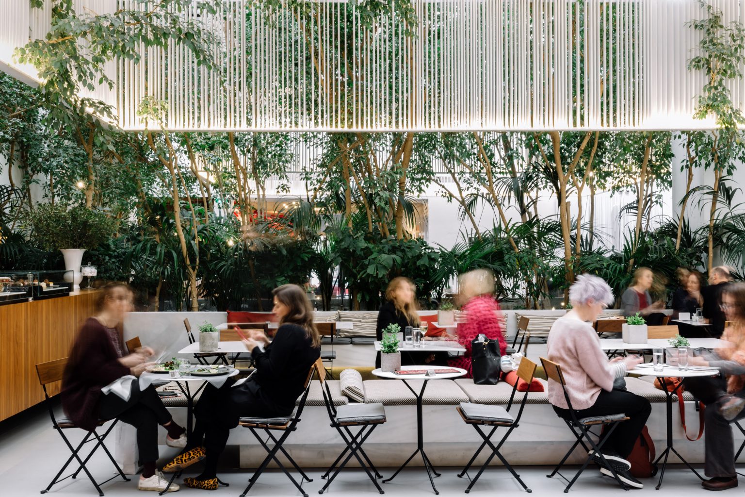 Cycladic Café - Museum of Cycladic Art