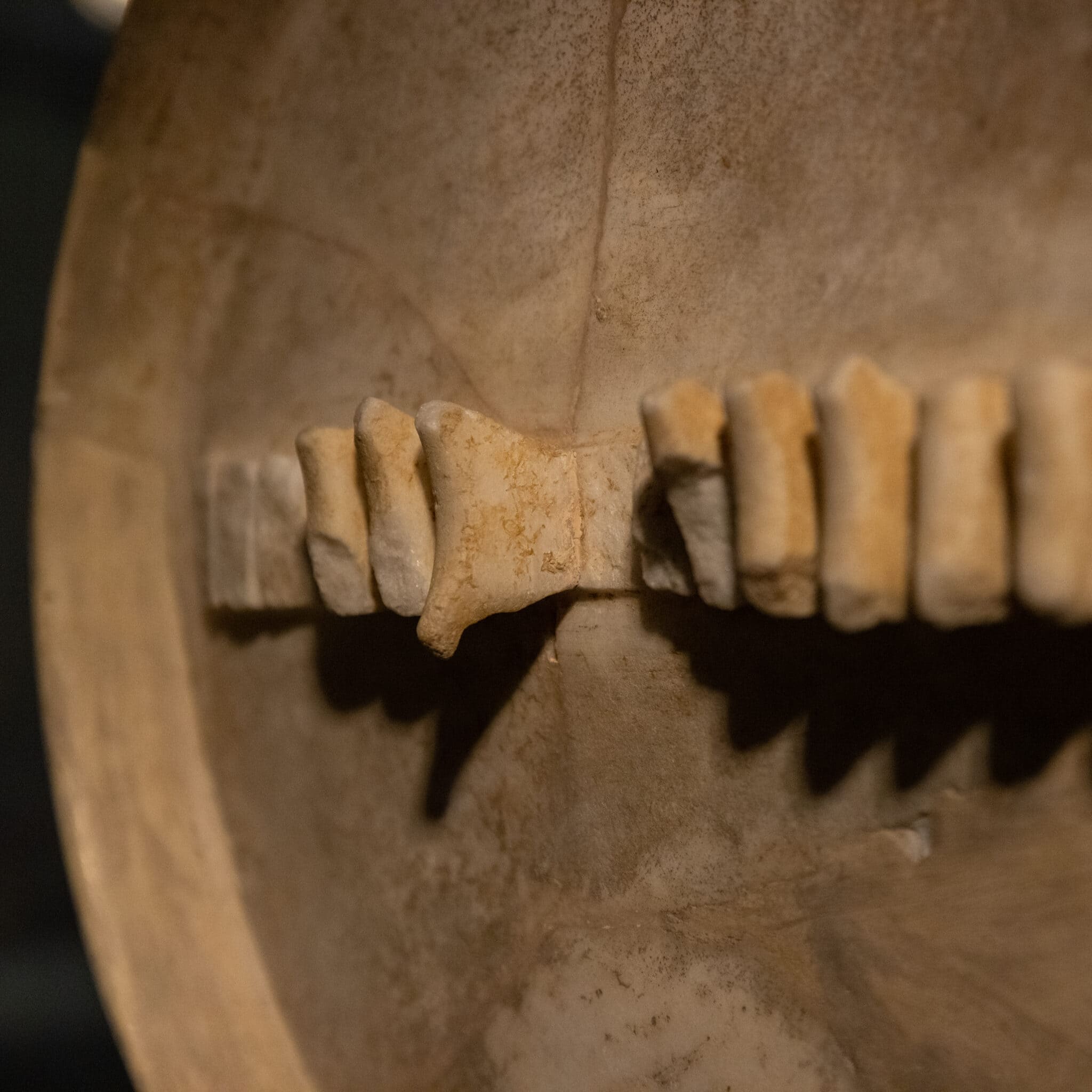 Homepage - Museum of Cycladic Art