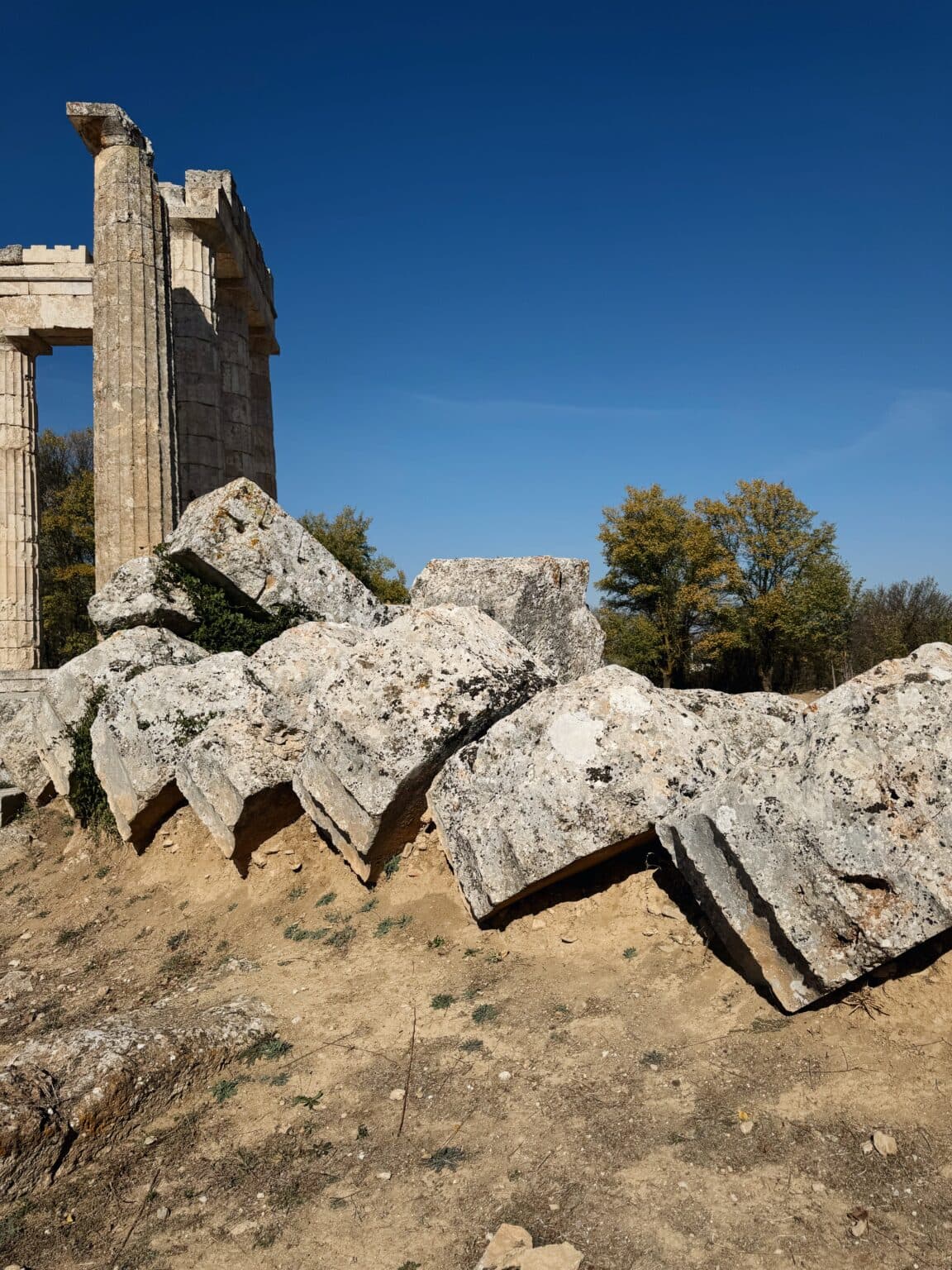 Day Trip to Nemea - Museum of Cycladic Art